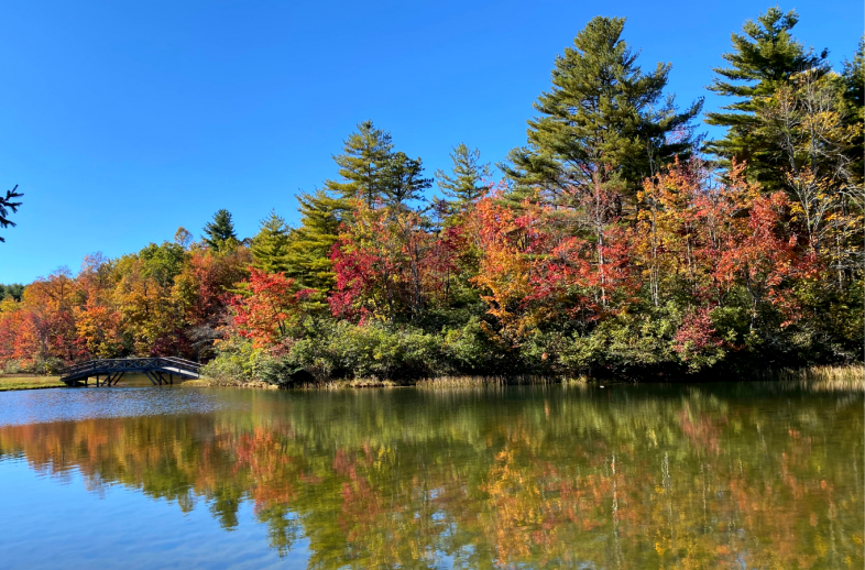 Fall Happenings Around Camp - Camp High Rocks
